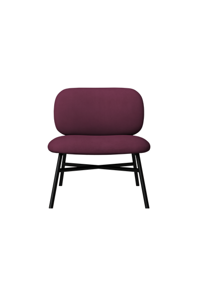 SC-81 | Seats.pk